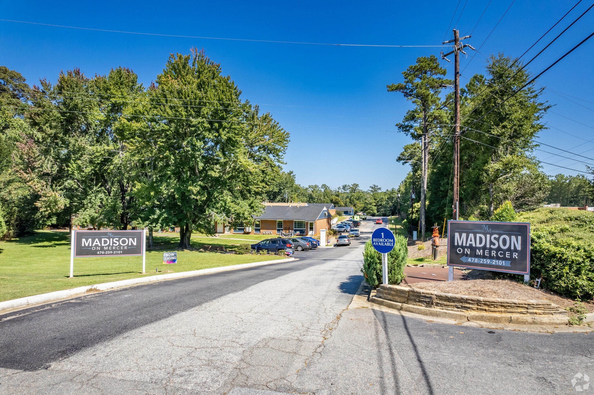 Gallery - Madison on Mercer